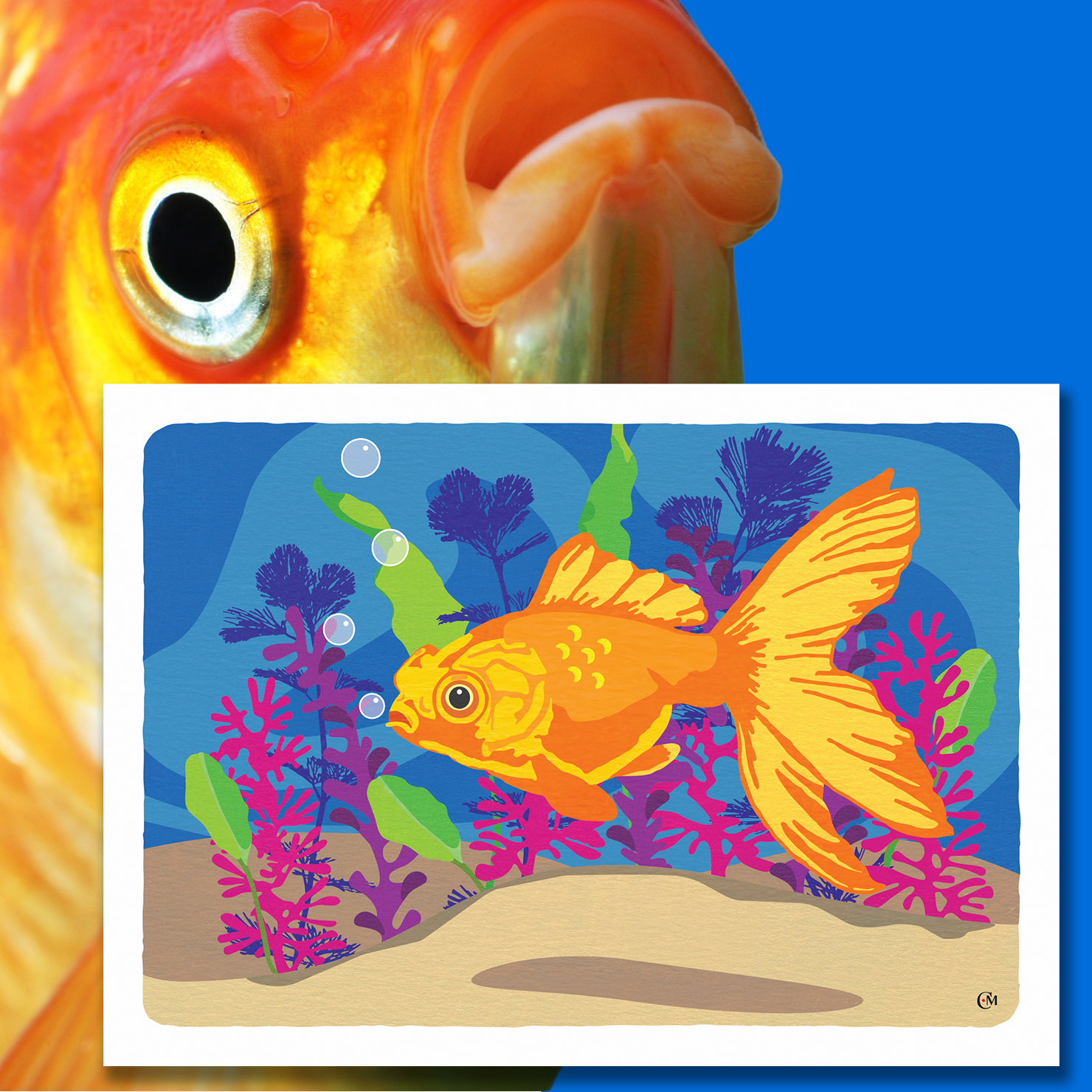 Fun Goldfish Aquarium – Connie Moore Designs Greeting Cards